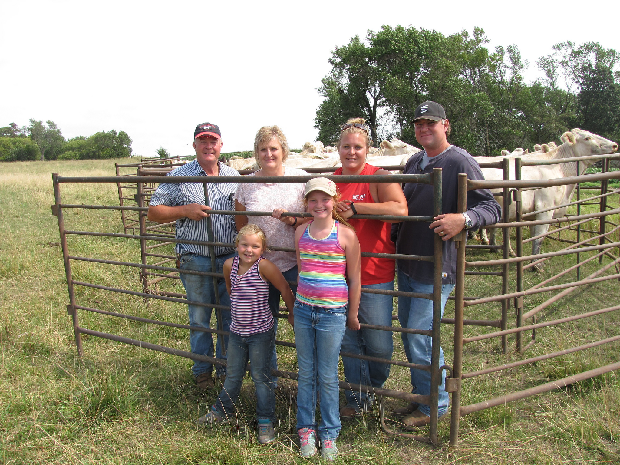 Access to Efficiency: The Vedvei Farm Family & Cattle Breeding ...