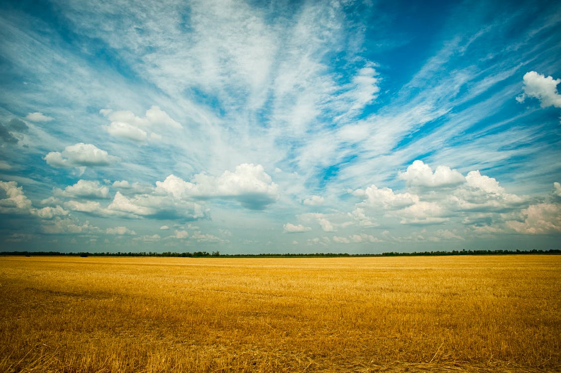 Nebraska Farmers Union | United to Grow Family Agriculture