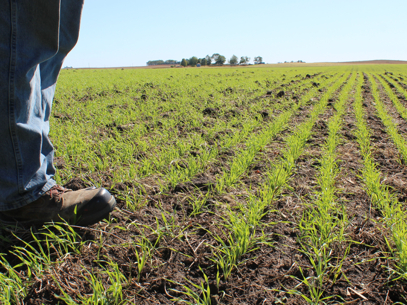 Nebraska Farmers Union | United to Grow Family Agriculture